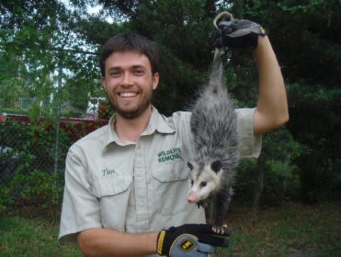 WY Cheyenne Cheyenne Wildlife Removal | Wildlife Animal Pest